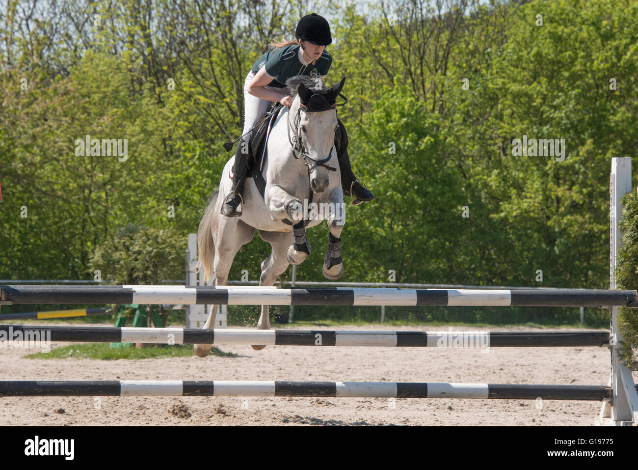Horse jumping obstacle - showjumping Stock Photo - Alamy