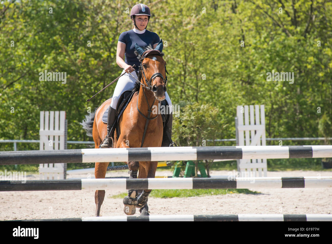 Horse jumping obstacle - showjumping Stock Photo - Alamy