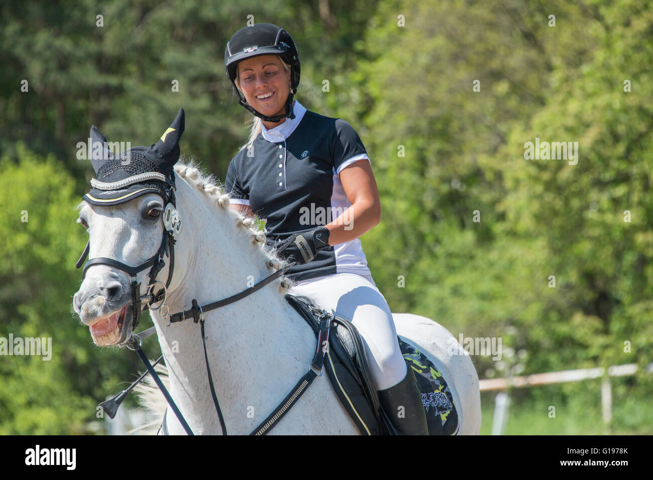 Horse jumping obstacle - showjumping Stock Photo - Alamy