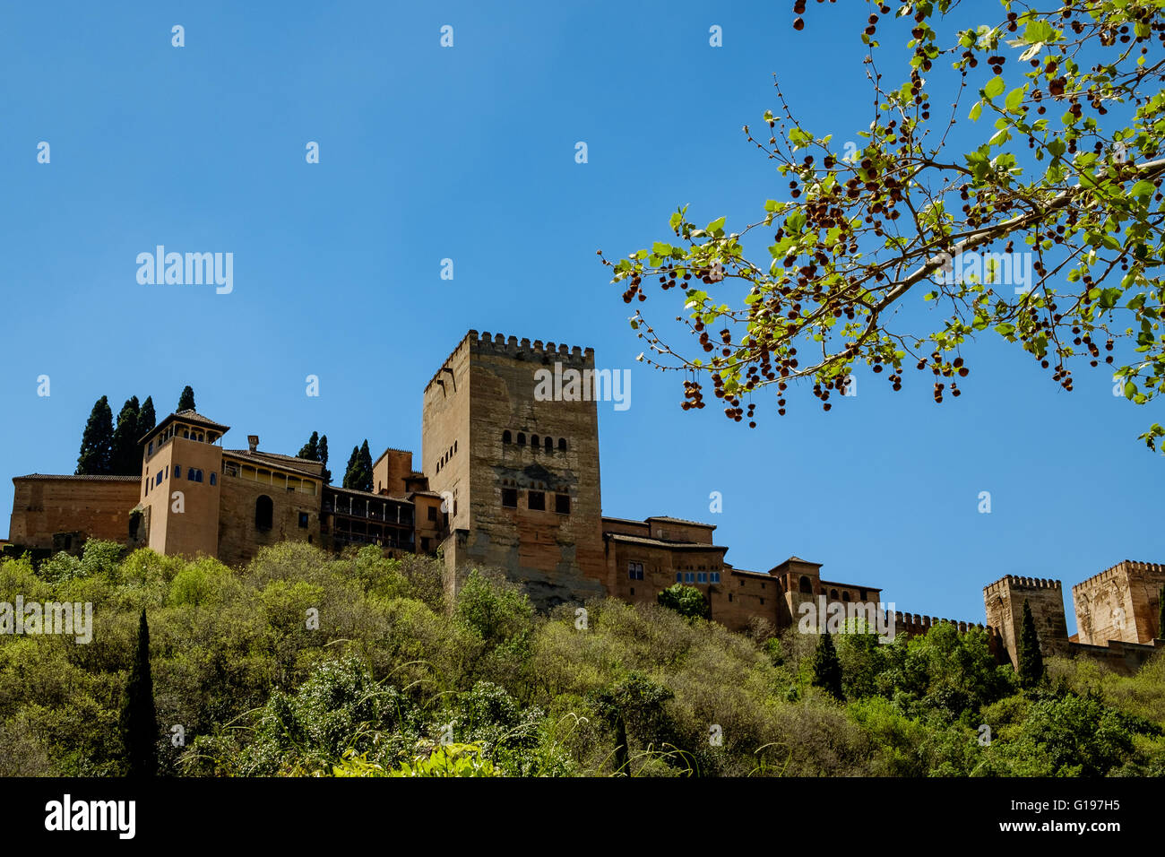 Part of the Alhambra building in Granada, Spain Stock Photo - Alamy