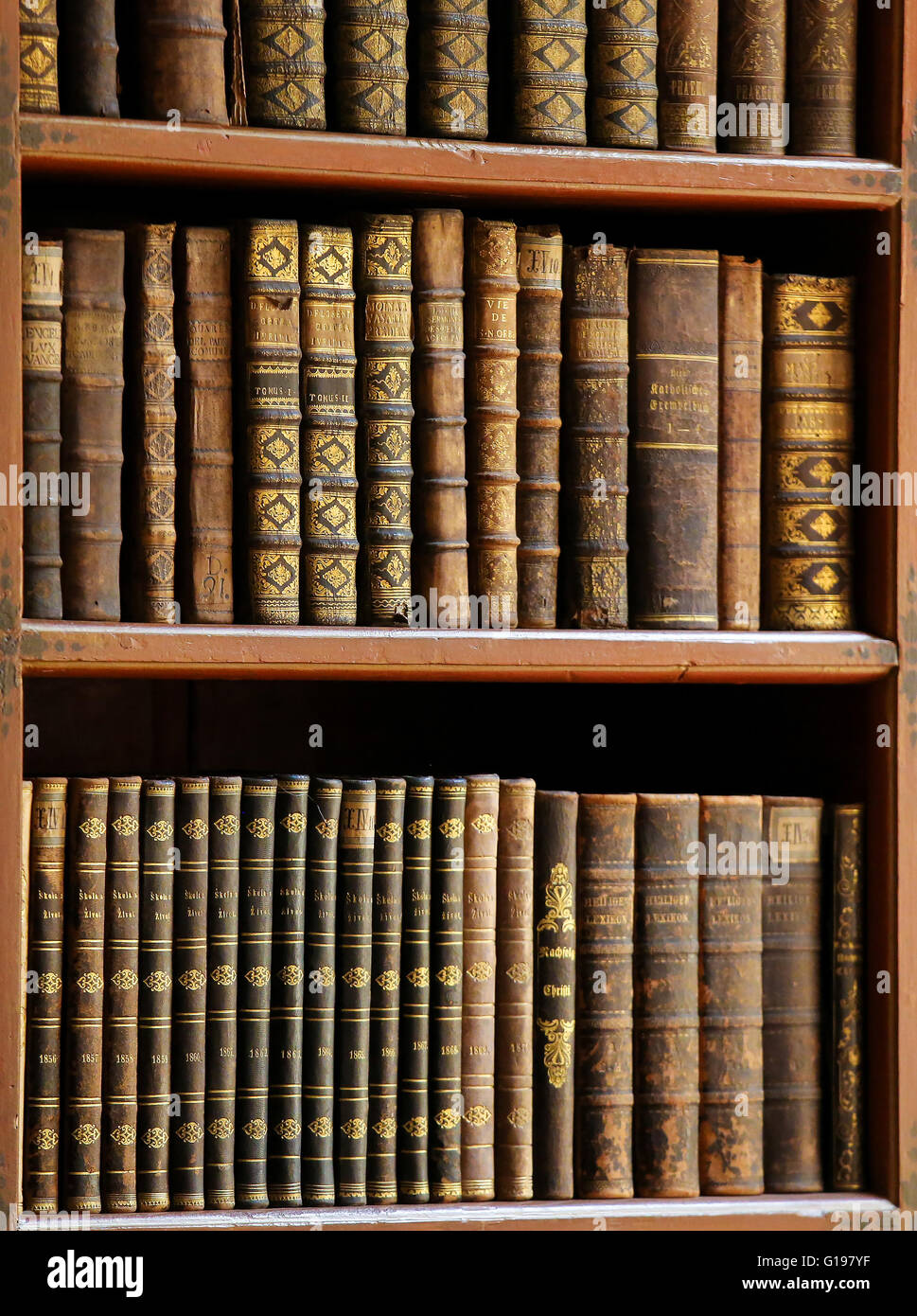 Czech librarian hi-res stock photography and images - Alamy