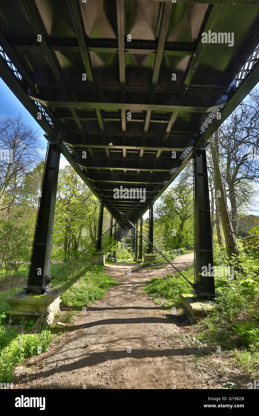 Under the Armsytrong bridge, Jesmond dene, Newcastle Stock Photo - Alamy