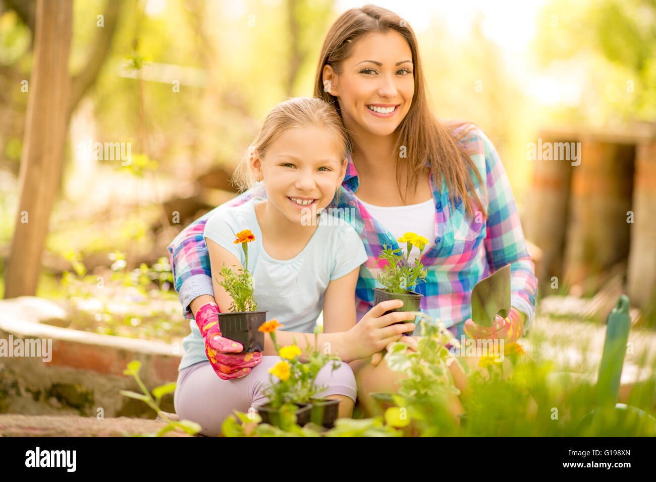Daughter plant High Resolution Stock Photography and Images - Alamy
