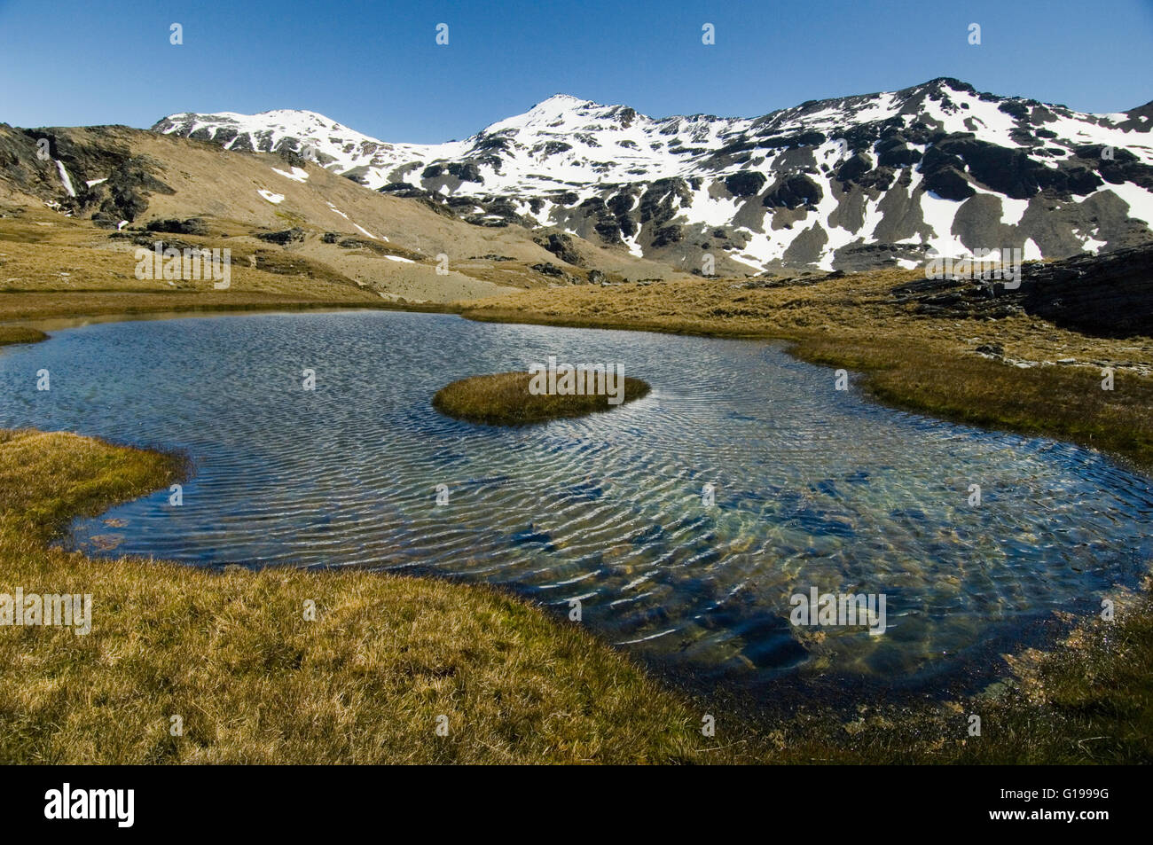 Highland Pond, Husvik Valley, South Georgia Island, Antarctica Stock ...