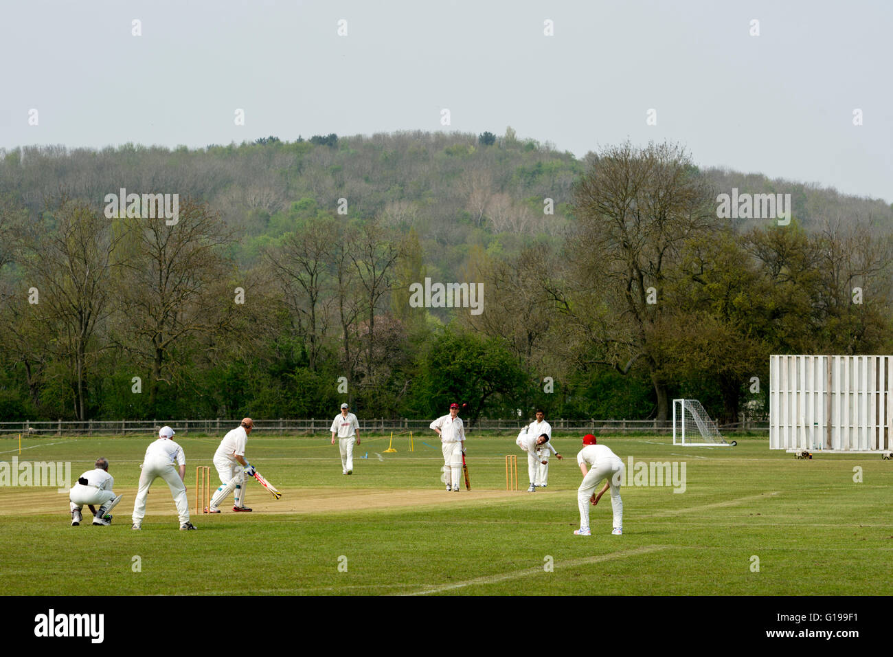 Cricket players on field hi-res stock photography and images - Alamy