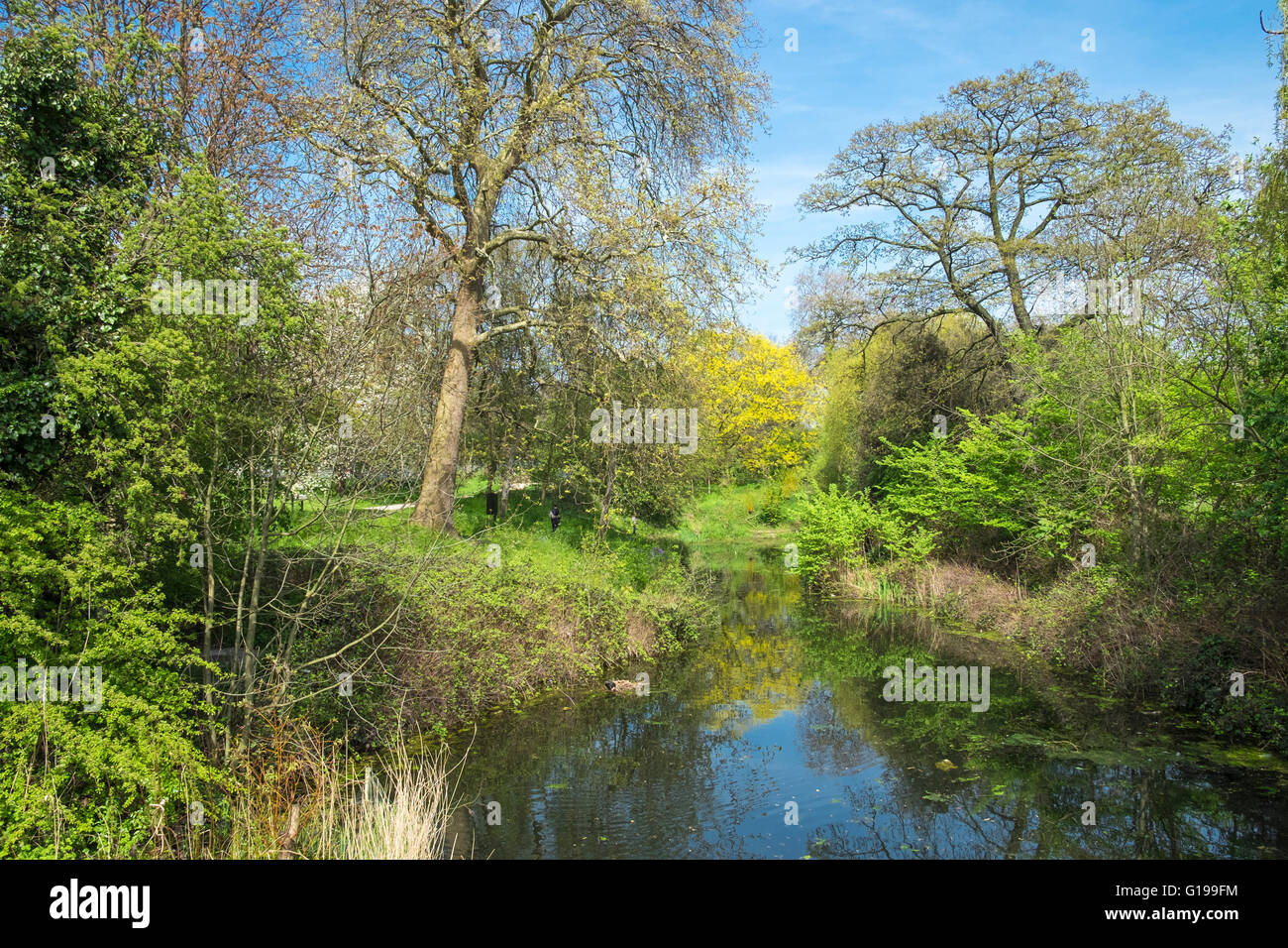 Seasonal Spring colour in Regents Park, London, UK Stock Photo - Alamy