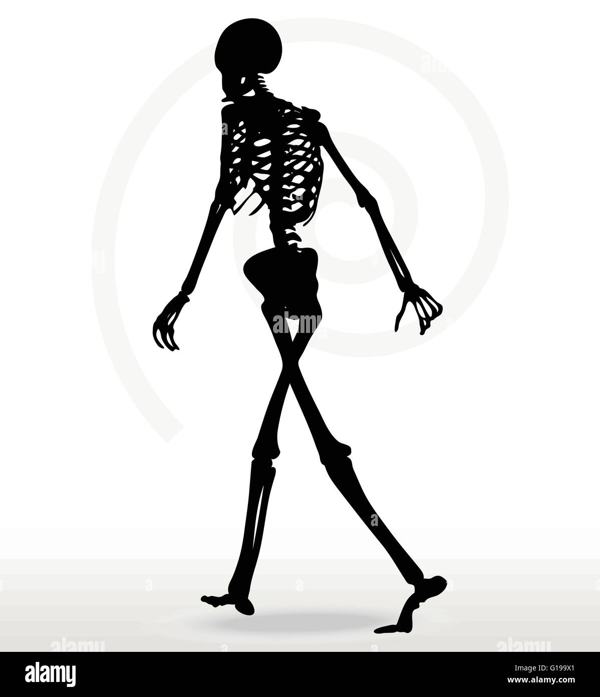 Vector Image - skeleton silhouette in walk pose isolated on white ...