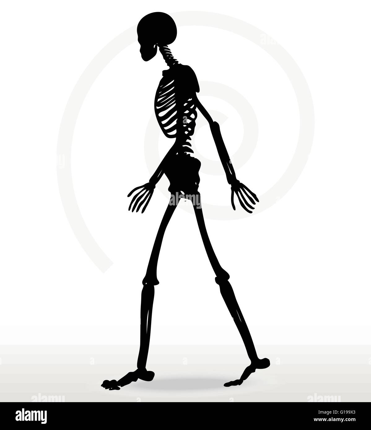 Skeleton silhouette in walk hi-res stock photography and images - Alamy