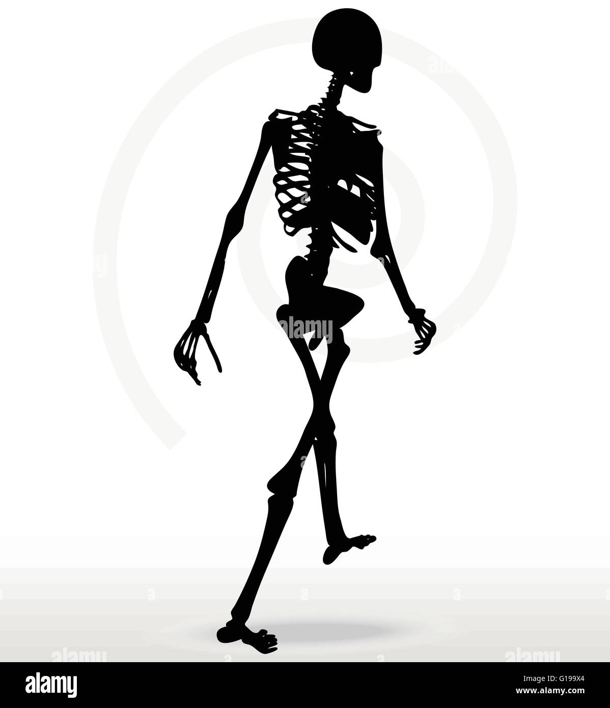 Skeleton silhouette in walk hi-res stock photography and images - Alamy