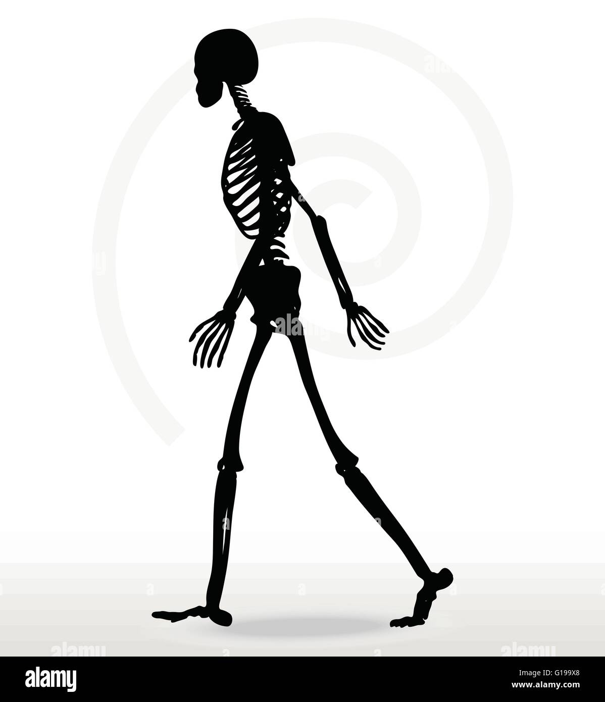 Vector Image - skeleton silhouette in walk pose isolated on white ...