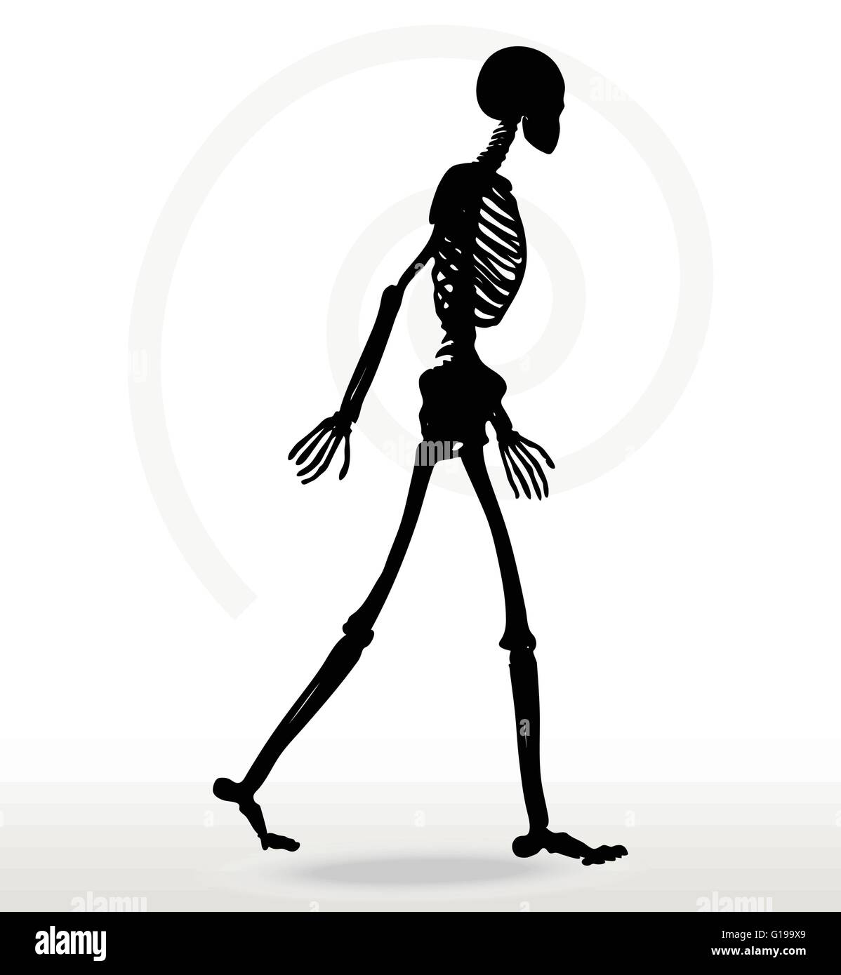 Skeleton silhouette in walk hi-res stock photography and images - Alamy