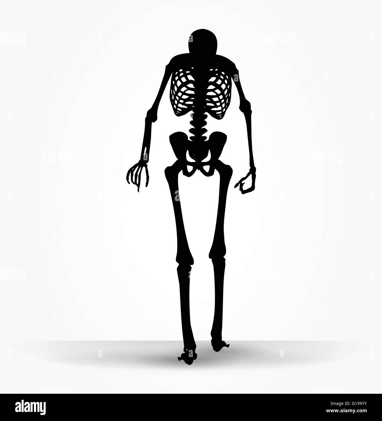 Skeleton silhouette in walk hi-res stock photography and images - Alamy
