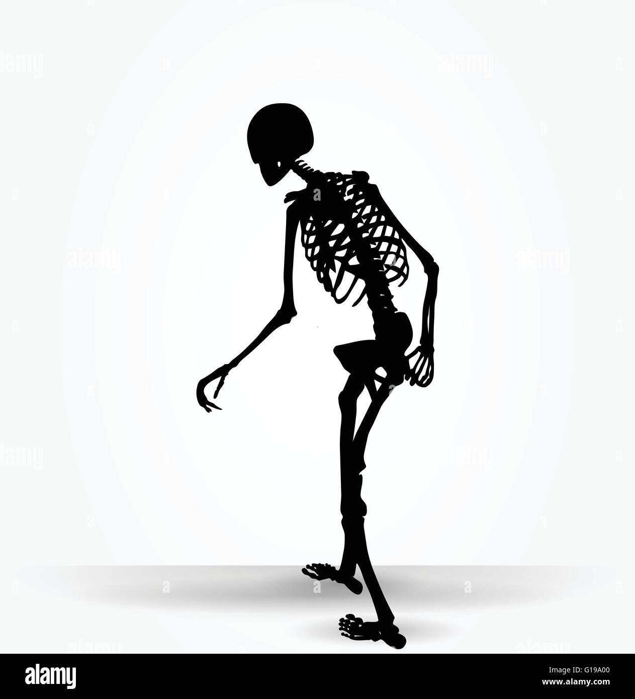 Vector Image - skeleton silhouette in old walk pose isolated on white ...