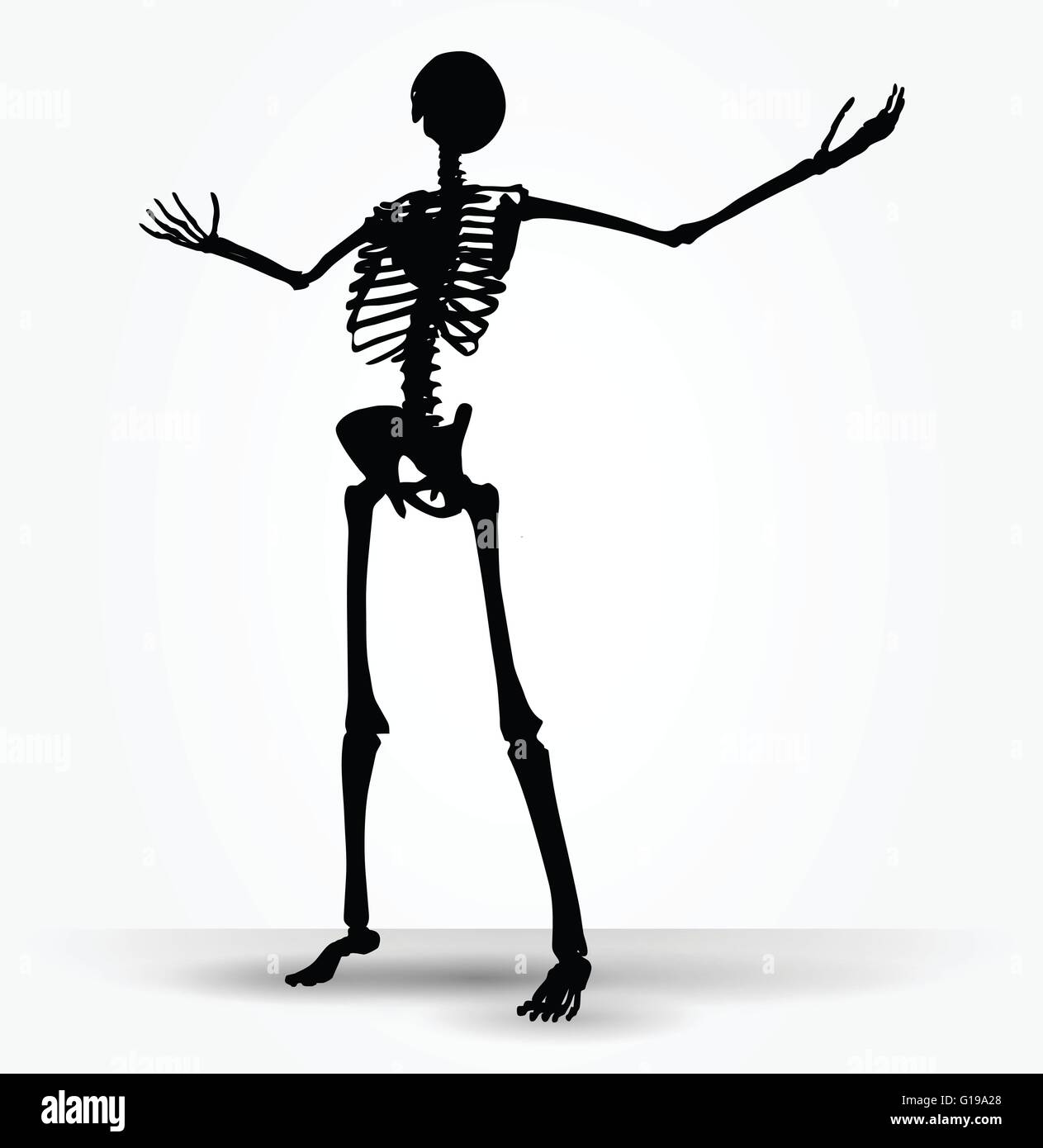 Vector Image - skeleton silhouette in power pose isolated on white ...