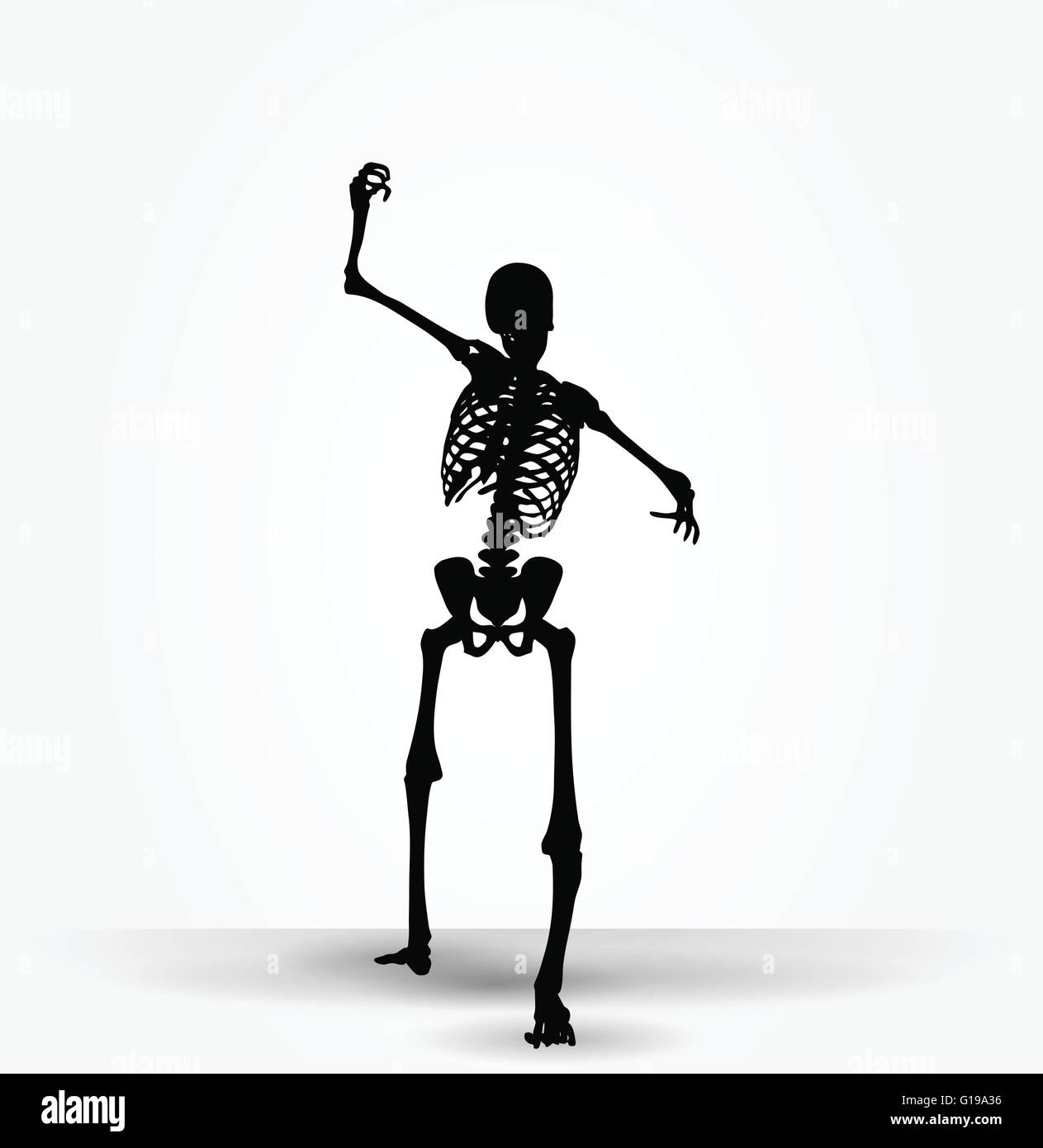 Vector Image - skeleton silhouette in intimidating pose isolated on ...
