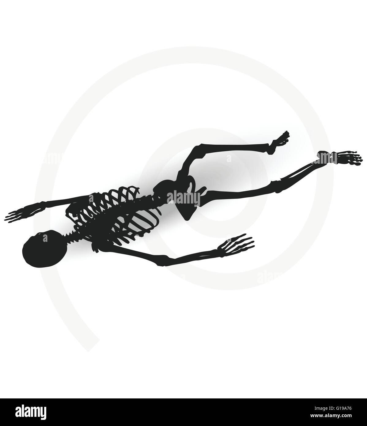 Vector Image - skeleton silhouette in prone pose isolated on white ...