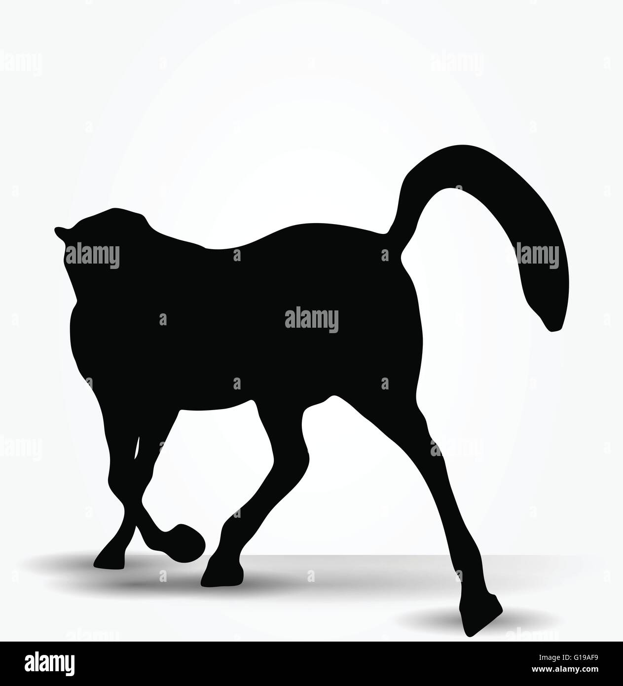 Prancing black horse Stock Vector Images - Alamy