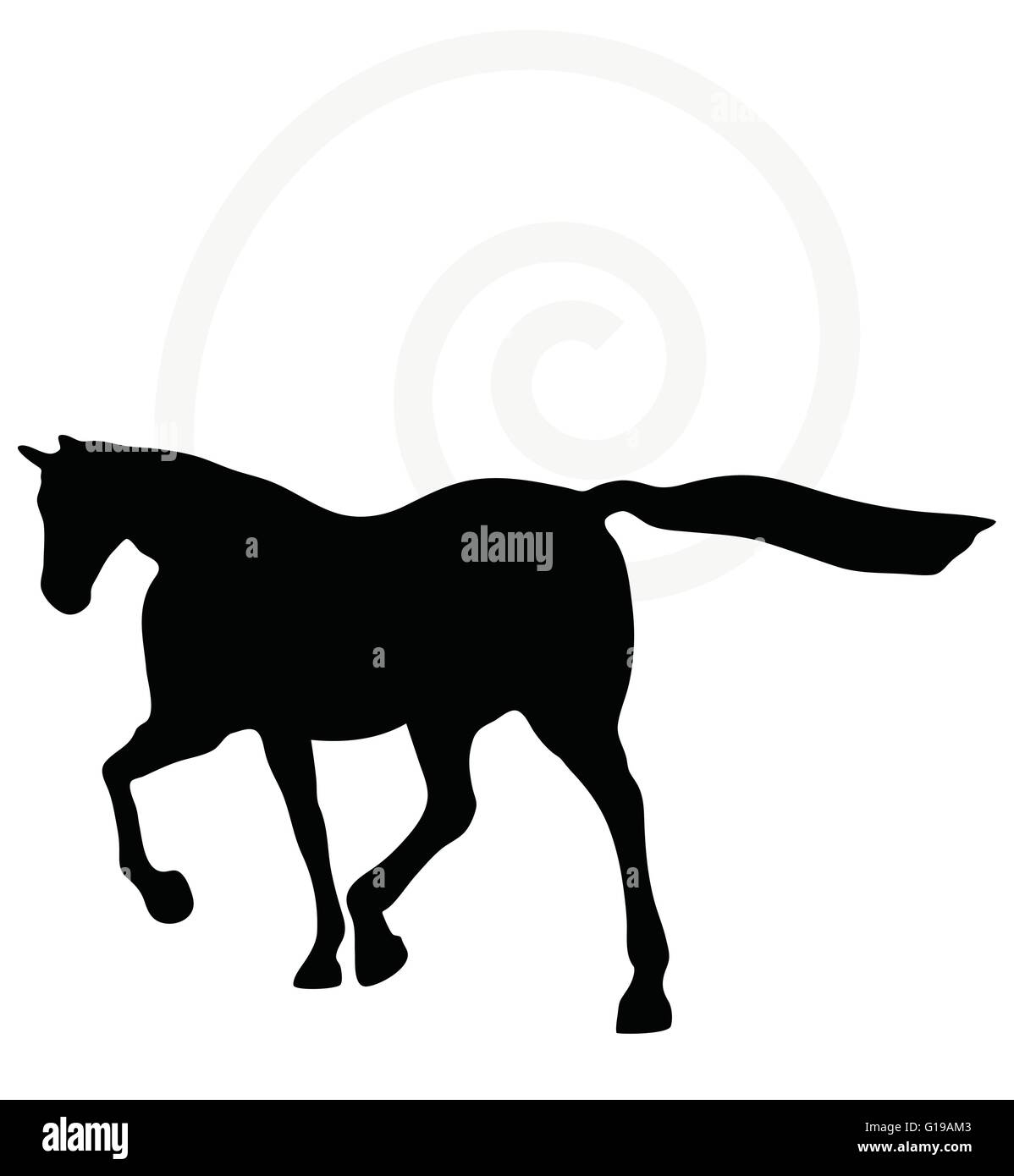Vector Image - horse silhouette in loping pose isolated on white ...