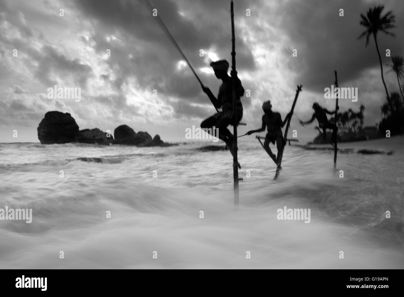 Stilt fishermen, Sri Lanka, traditional stilt fisherman at Kogalla, Sri ...