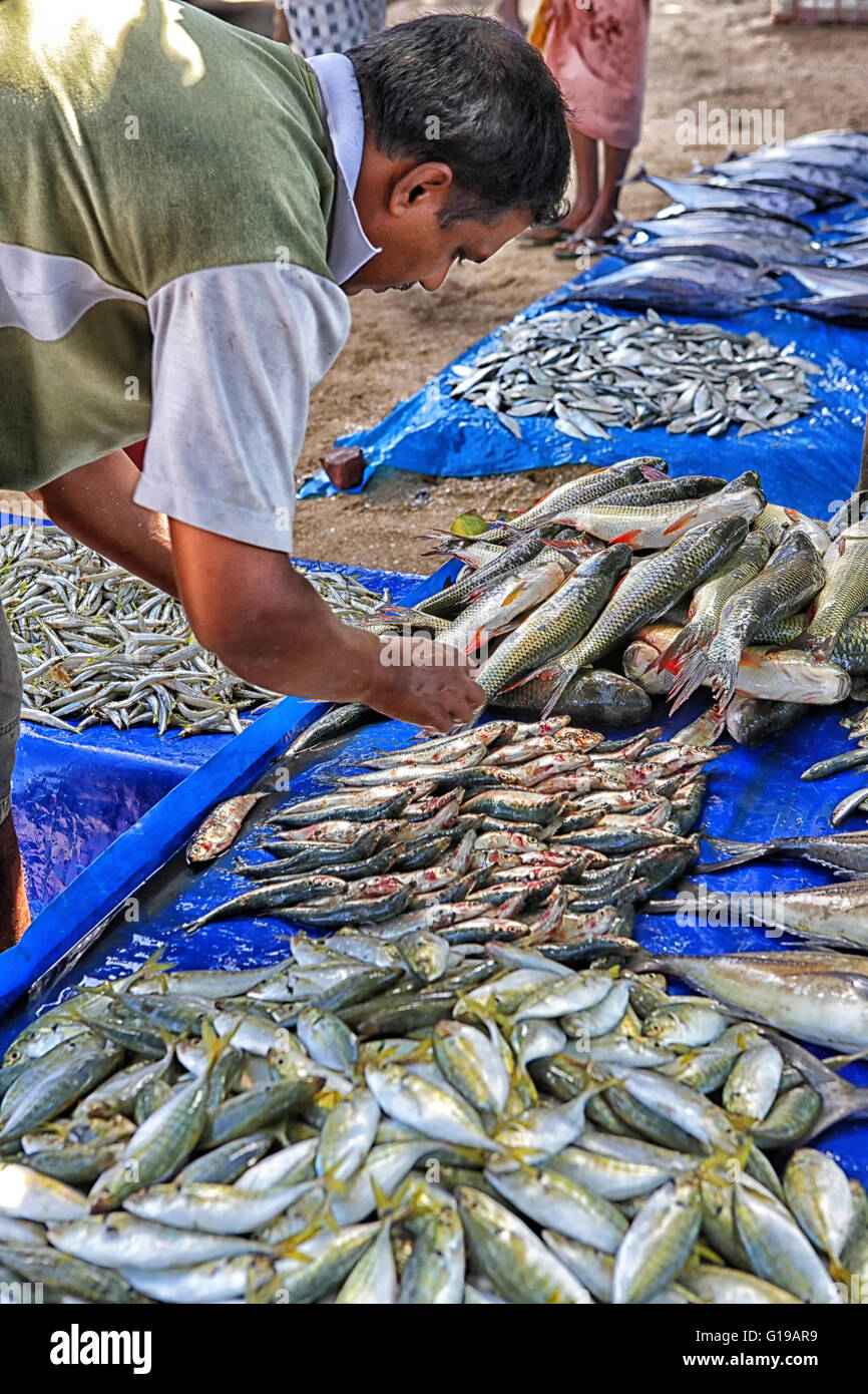 Sri Lanka - Nuwara Eliya, Kandy province, fresh fish at the market ...