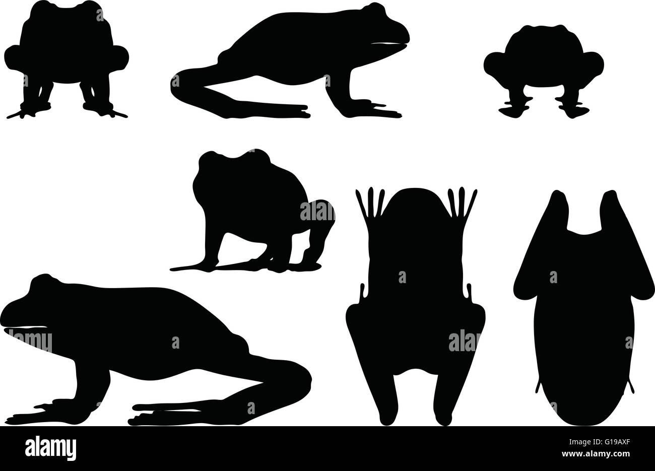 Vector Image - frog silhouette isolated on white background Stock ...