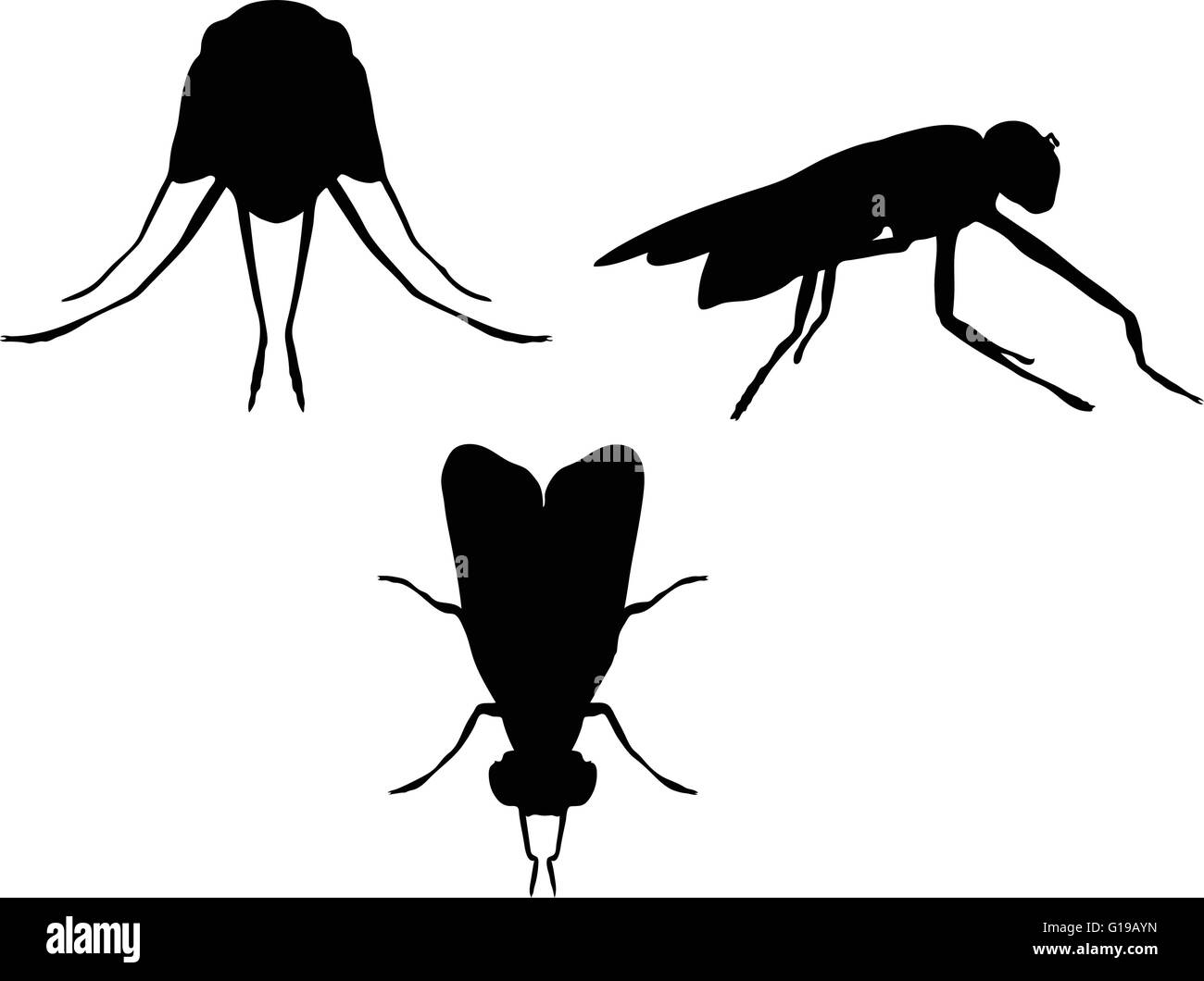 Vector Image - bug fly silhouette isolated on white background Stock ...