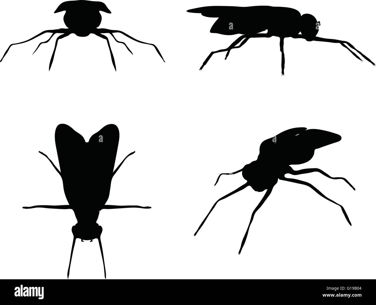 Vector Image - bug fly silhouette isolated on white background Stock ...