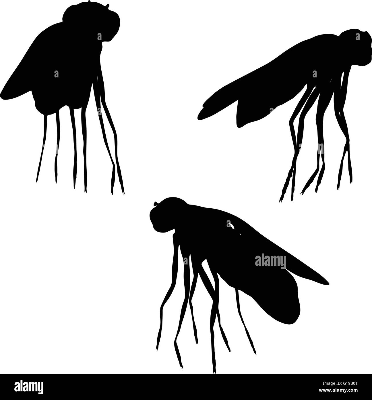 Vector Image - bug fly silhouette isolated on white background Stock ...