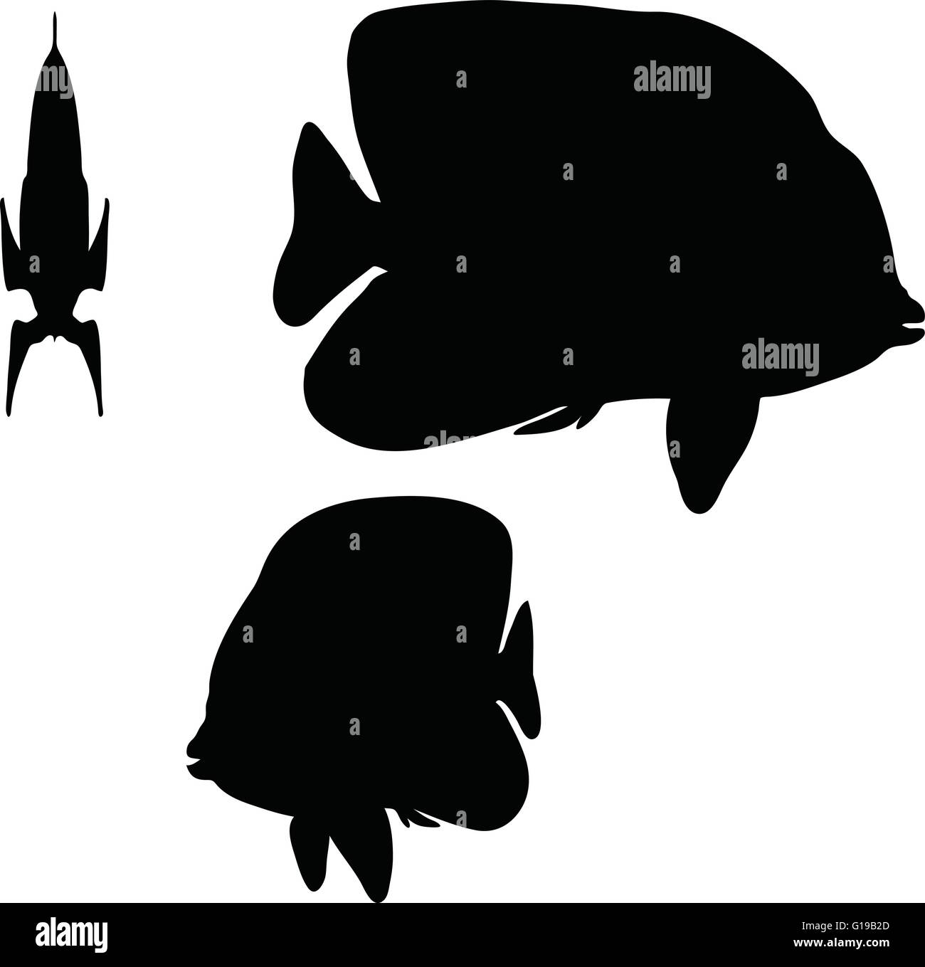 Vector Image - angelfish silhouette isolated on white background Stock ...