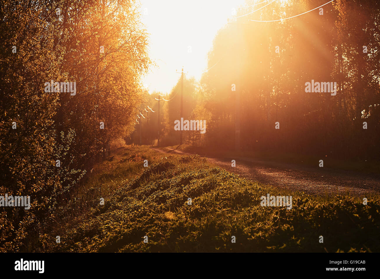 Retro image of road at sunset Stock Photo - Alamy