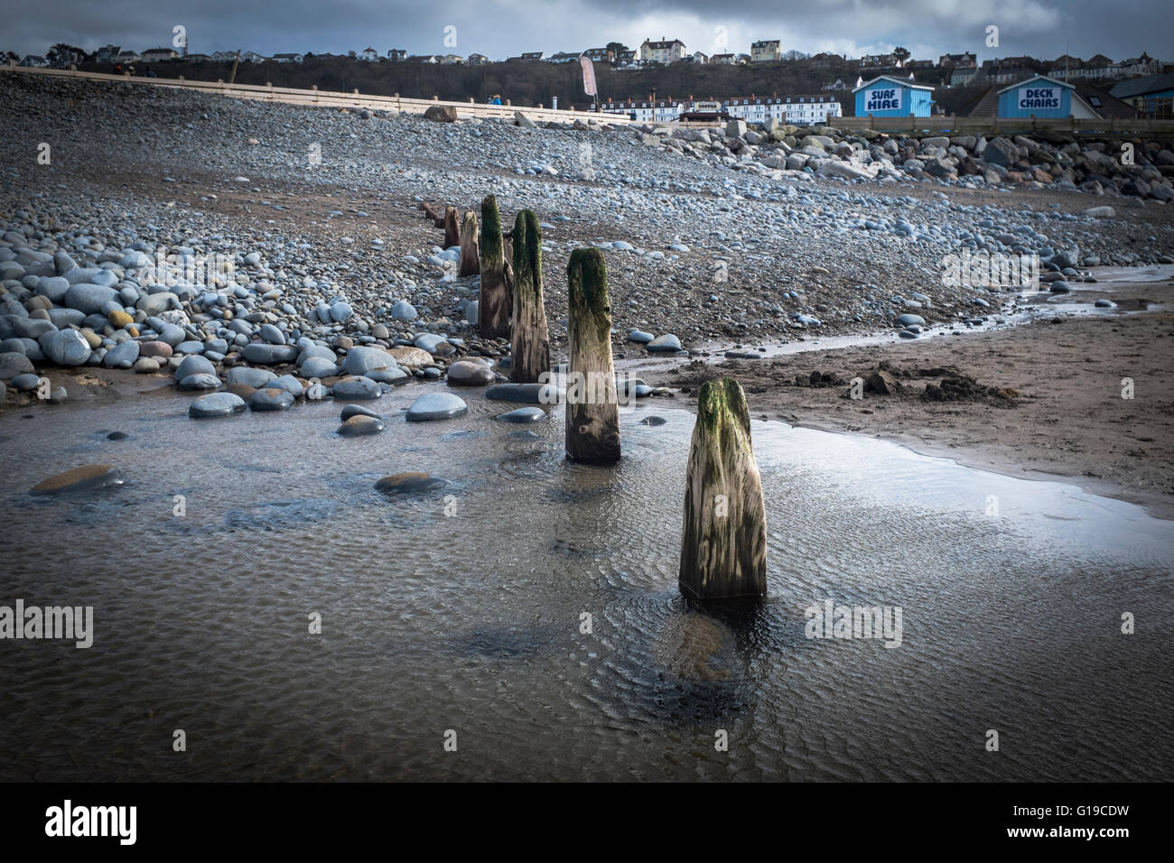 Groynes on the pebble ridge, Westward Ho, Devon UK Stock Photo - Alamy
