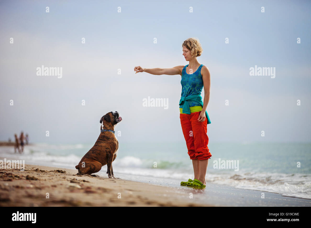 Young woman giving commands to boxer dog while walking on beach Stock ...