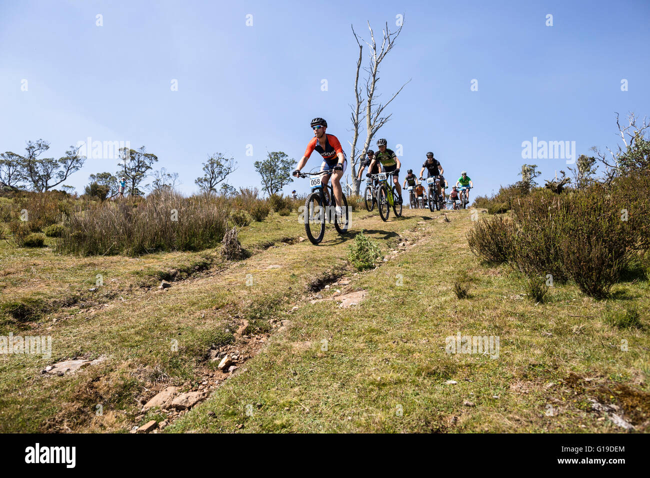 Mountain bikers racing in Tasmania's Wildside MTB event Stock Photo - Alamy