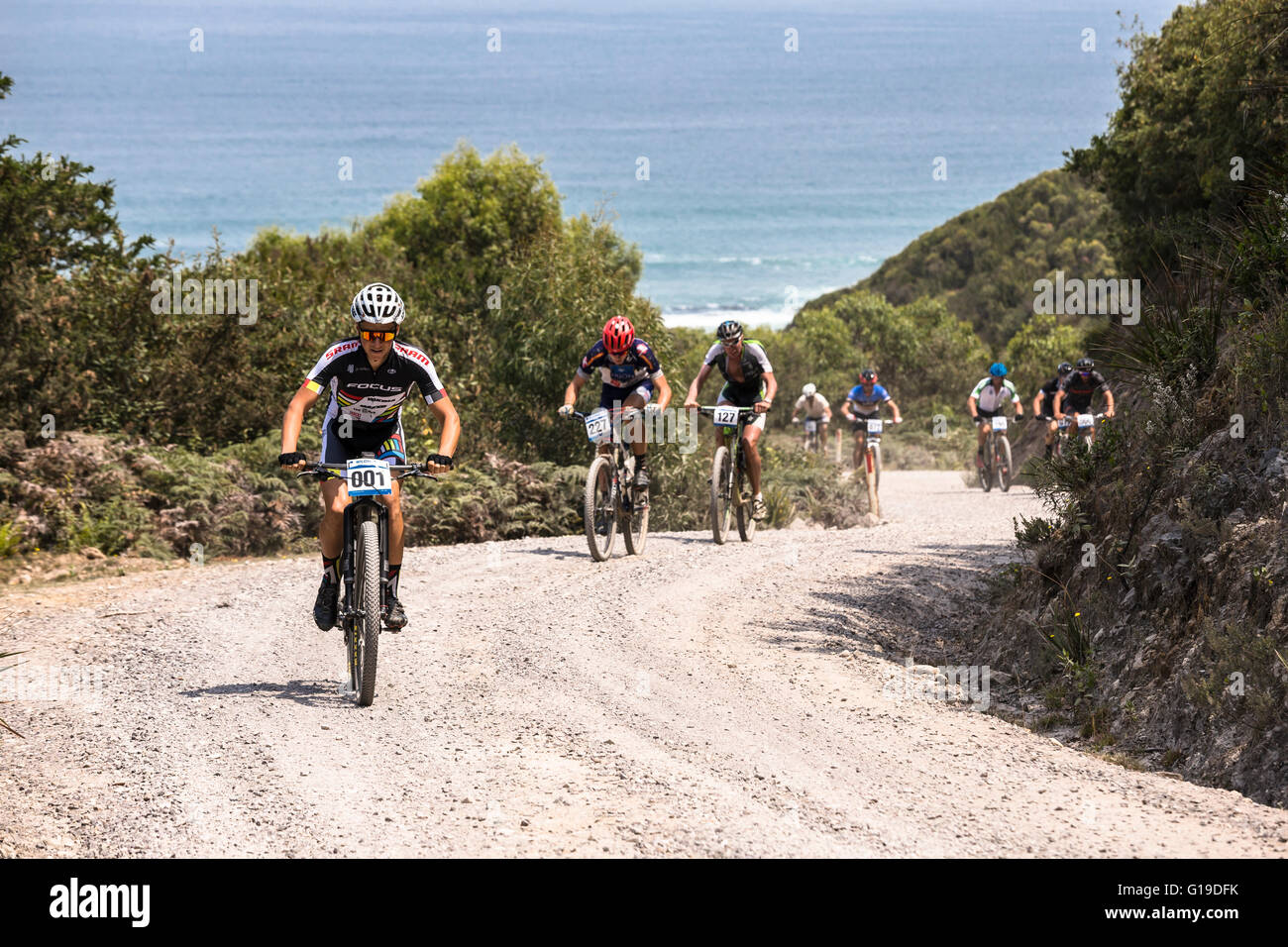 Mountain bikers racing in Tasmania's Wildside MTB event Stock Photo - Alamy