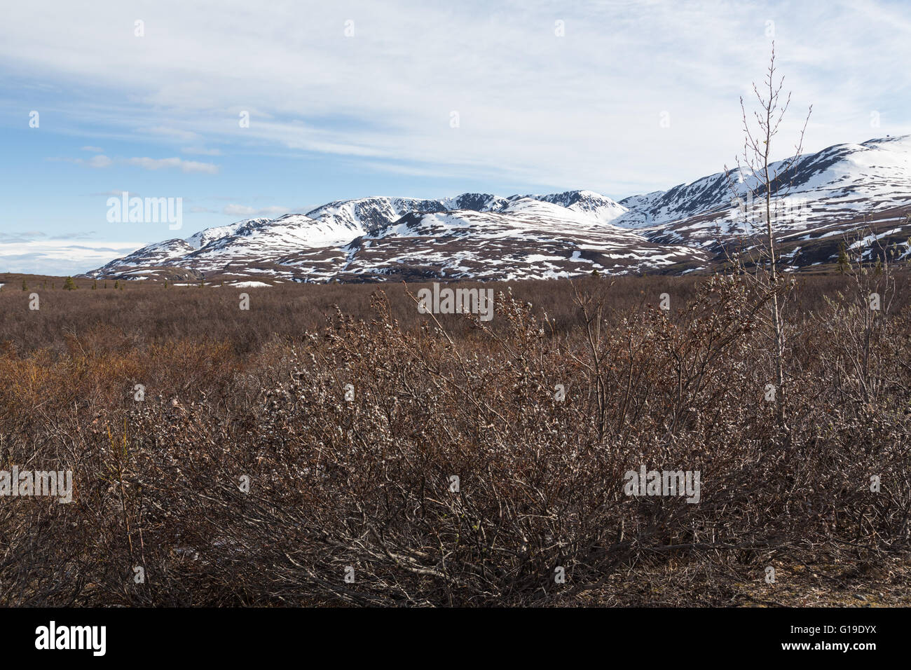 Along the denali highway hi-res stock photography and images - Alamy