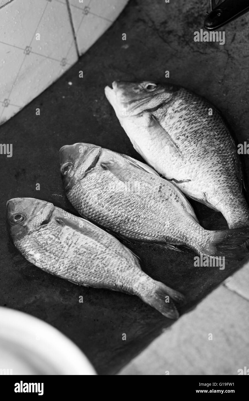 Fresh ginger vegetable Black and White Stock Photos & Images - Alamy