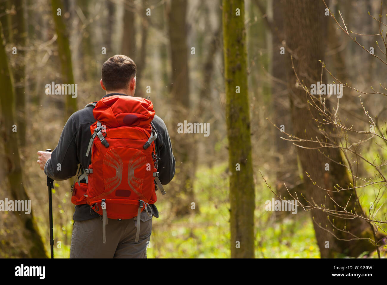 Male hiker looking to the side walking in forest Stock Photo - Alamy
