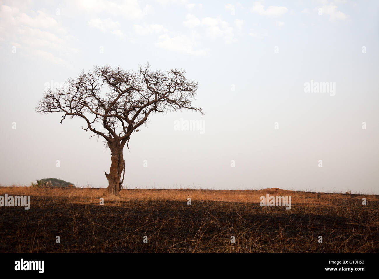 Photograph by © Jamie Callister. Murchison Falls National Park, Uganda ...