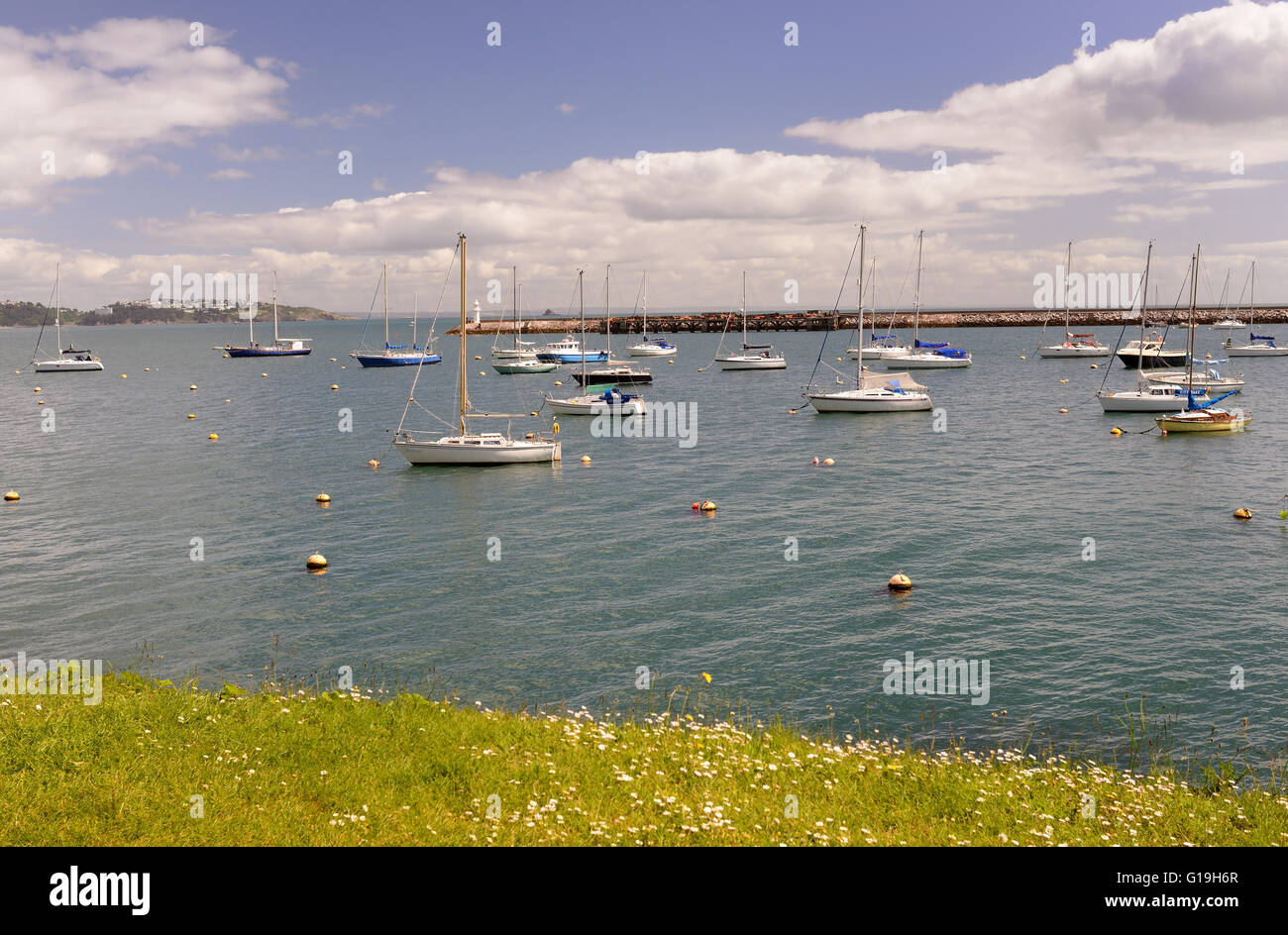 Marina boats yachts brixham boats hi-res stock photography and images ...