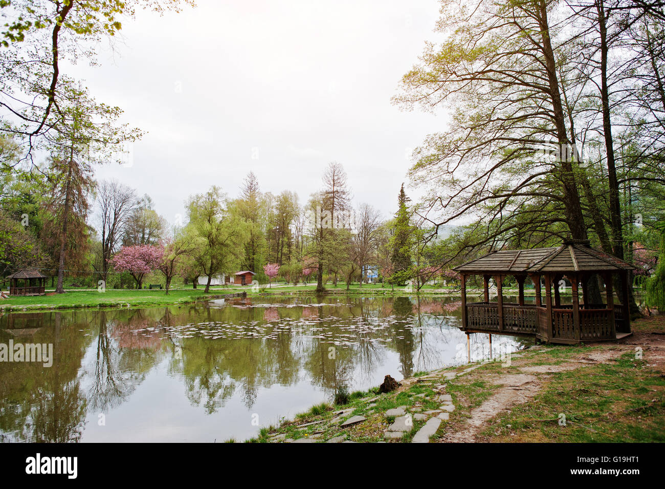 Lake with water lilies in spring park with arbor Stock Photo - Alamy