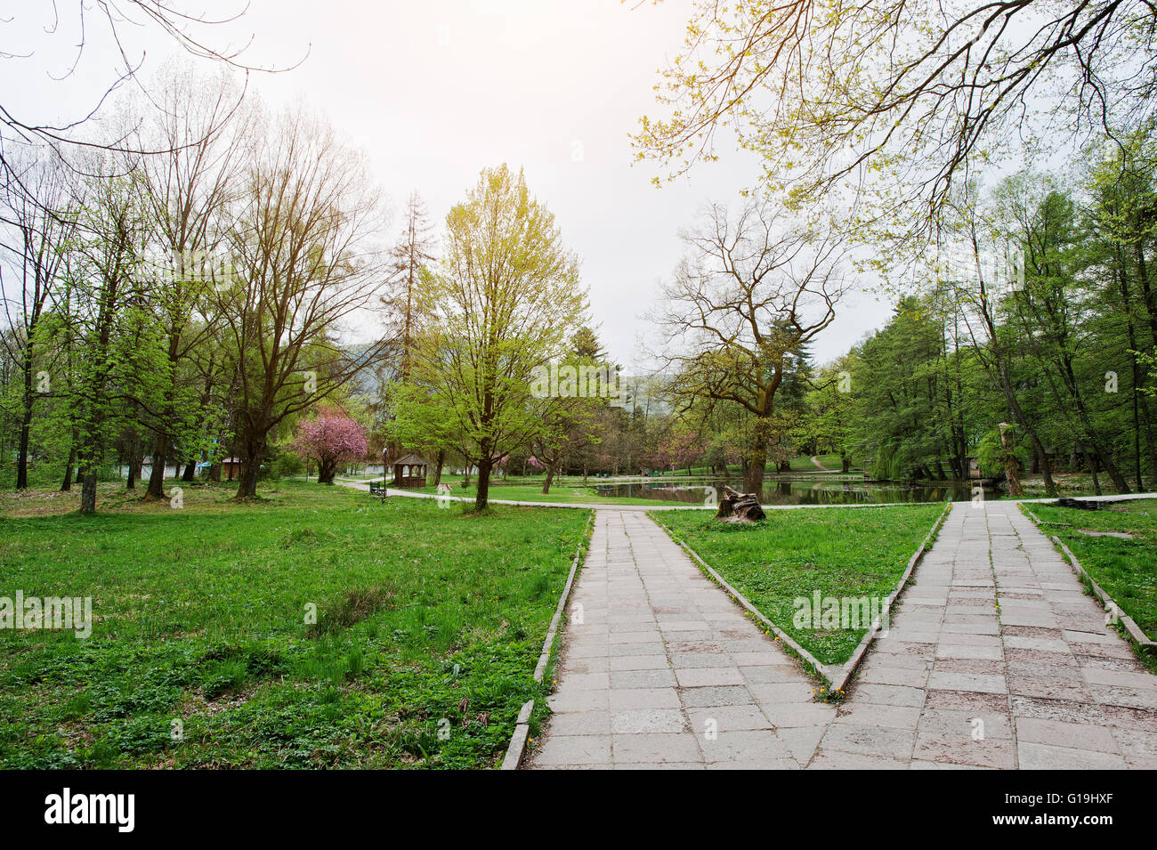 Two similar paths but different directions at park on spring Stock ...