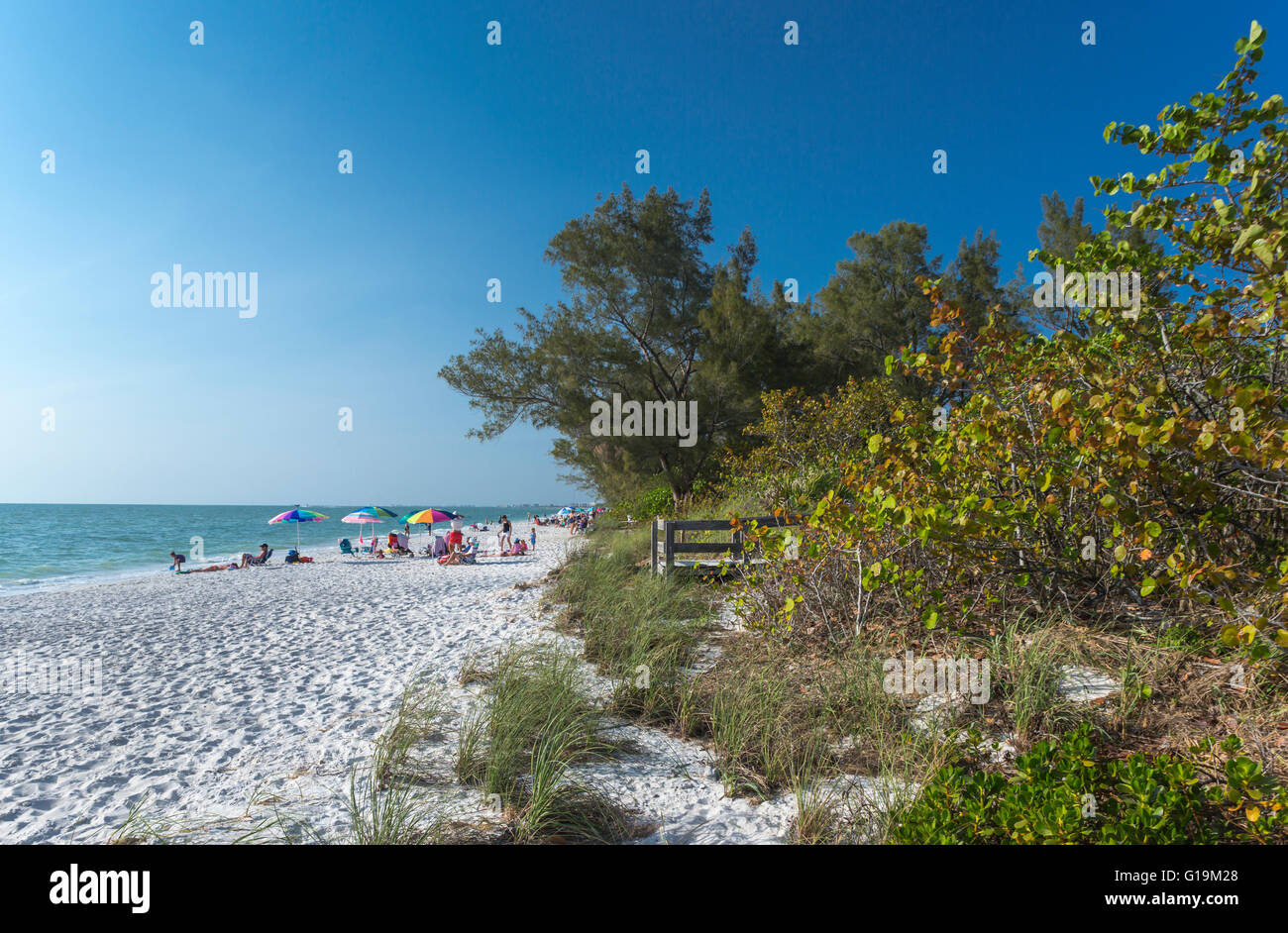 BEACH DELNOR-WIGGINS PASS STATE PARK NAPLES FLORIDA USA Stock Photo - Alamy