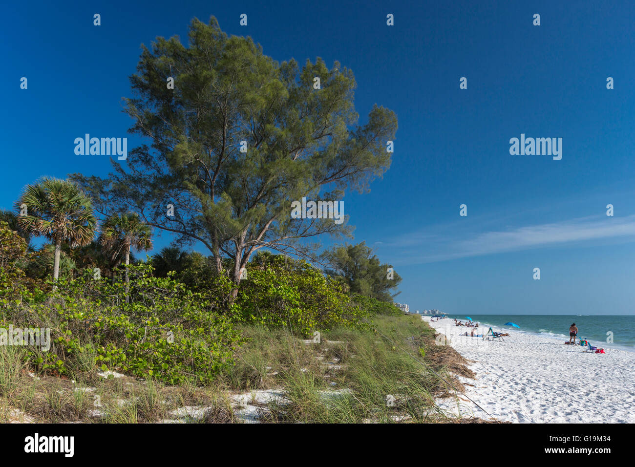 Delnor wiggins pass state park beach hi-res stock photography and ...