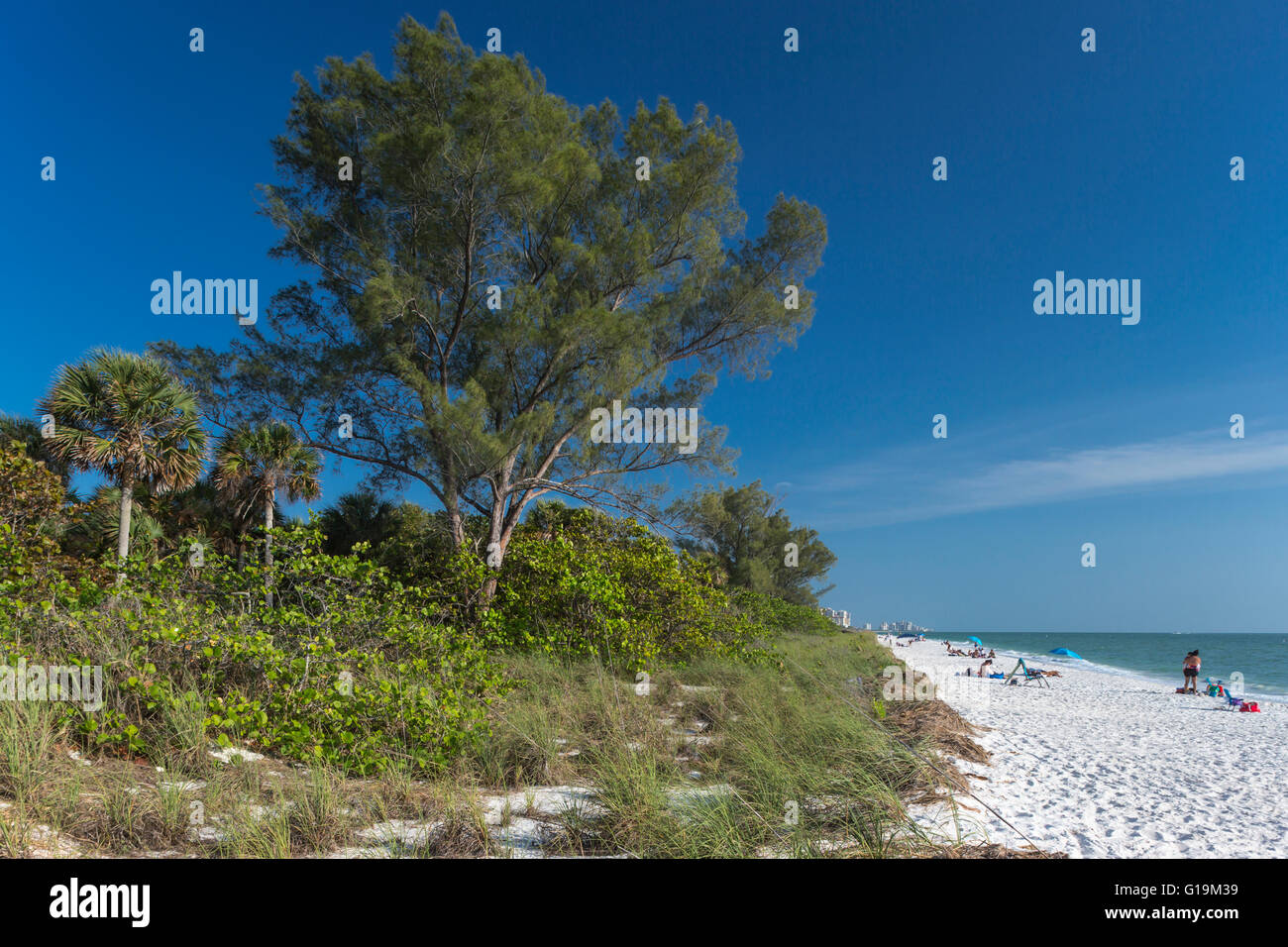 BEACH DELNOR-WIGGINS PASS STATE PARK NAPLES FLORIDA USA Stock Photo - Alamy