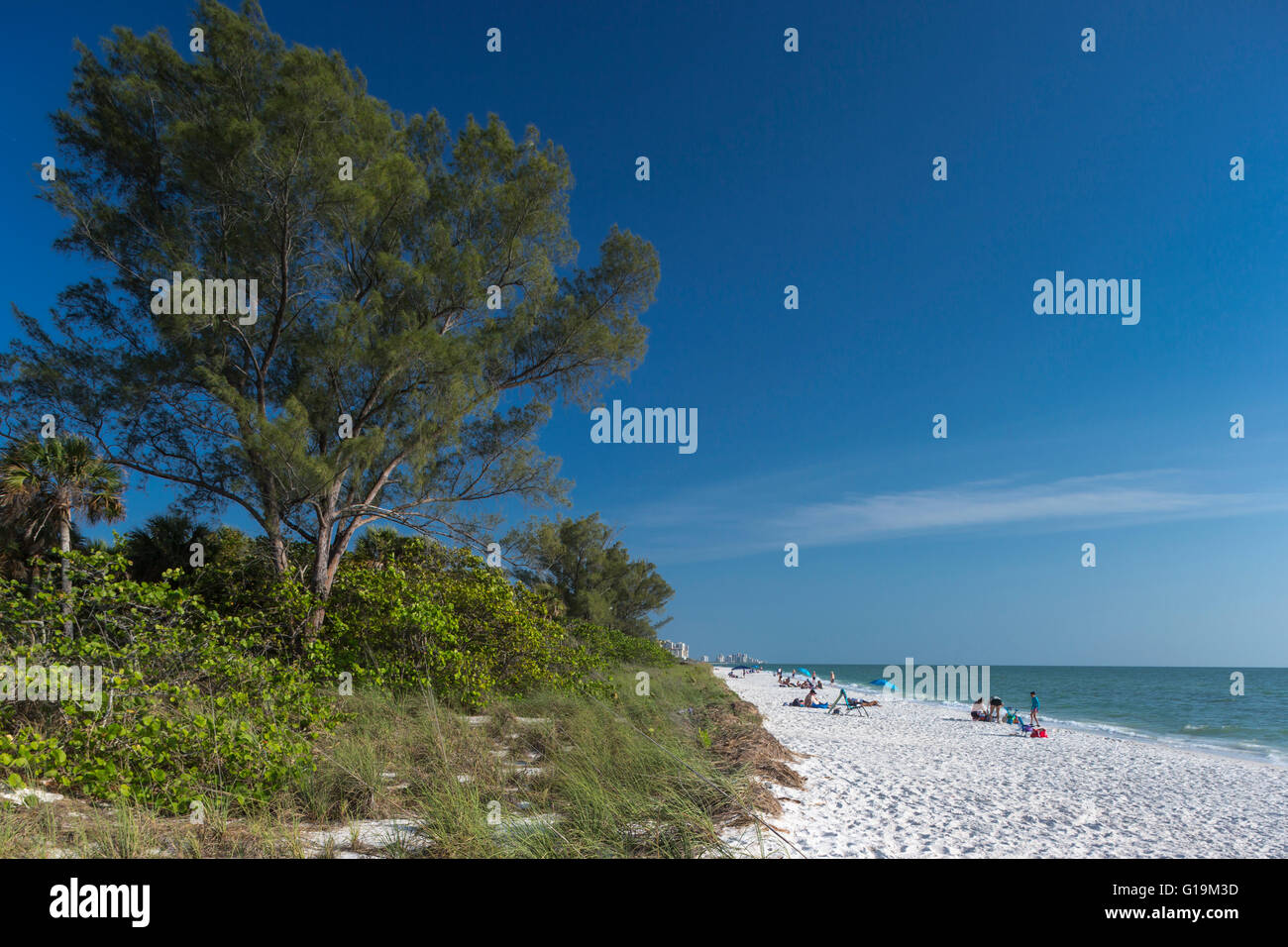 BEACH DELNOR-WIGGINS PASS STATE PARK NAPLES FLORIDA USA Stock Photo - Alamy