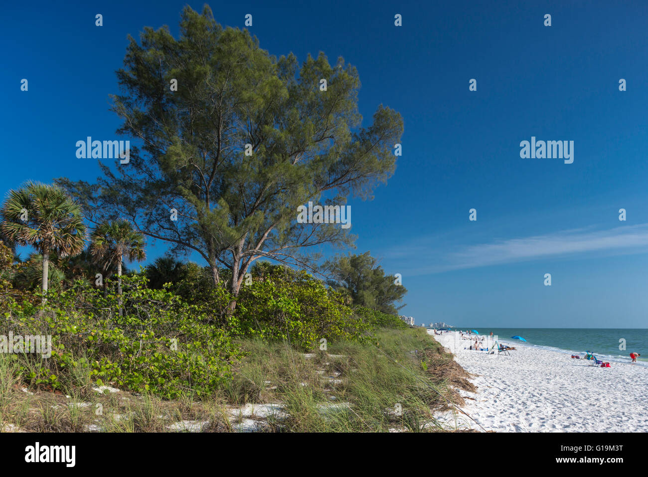 BEACH DELNOR-WIGGINS PASS STATE PARK NAPLES FLORIDA USA Stock Photo - Alamy