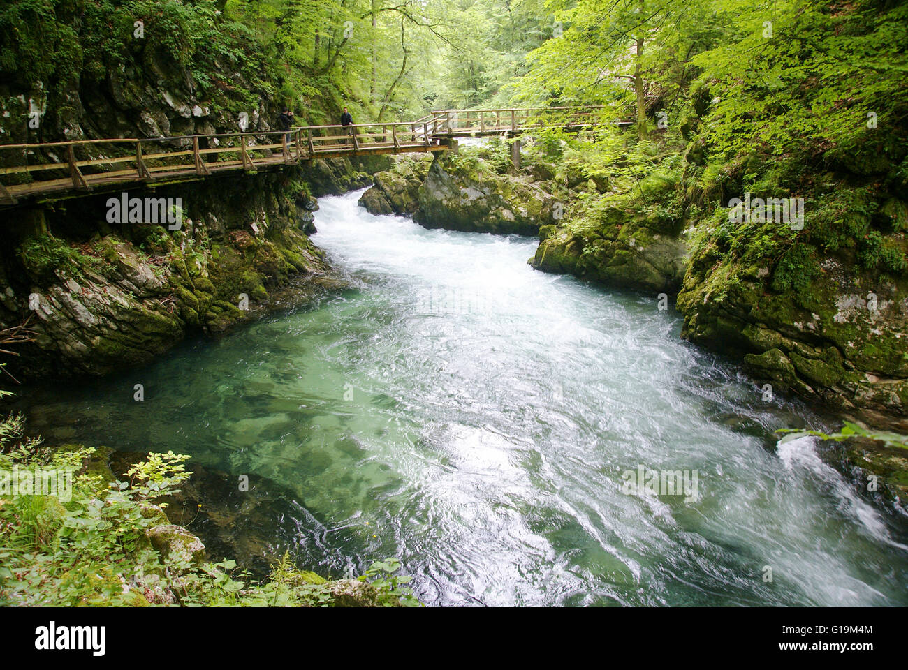 Vintgar Gorge, or Bled Gorge is a 1.6-kilometer gorge in northwestern ...