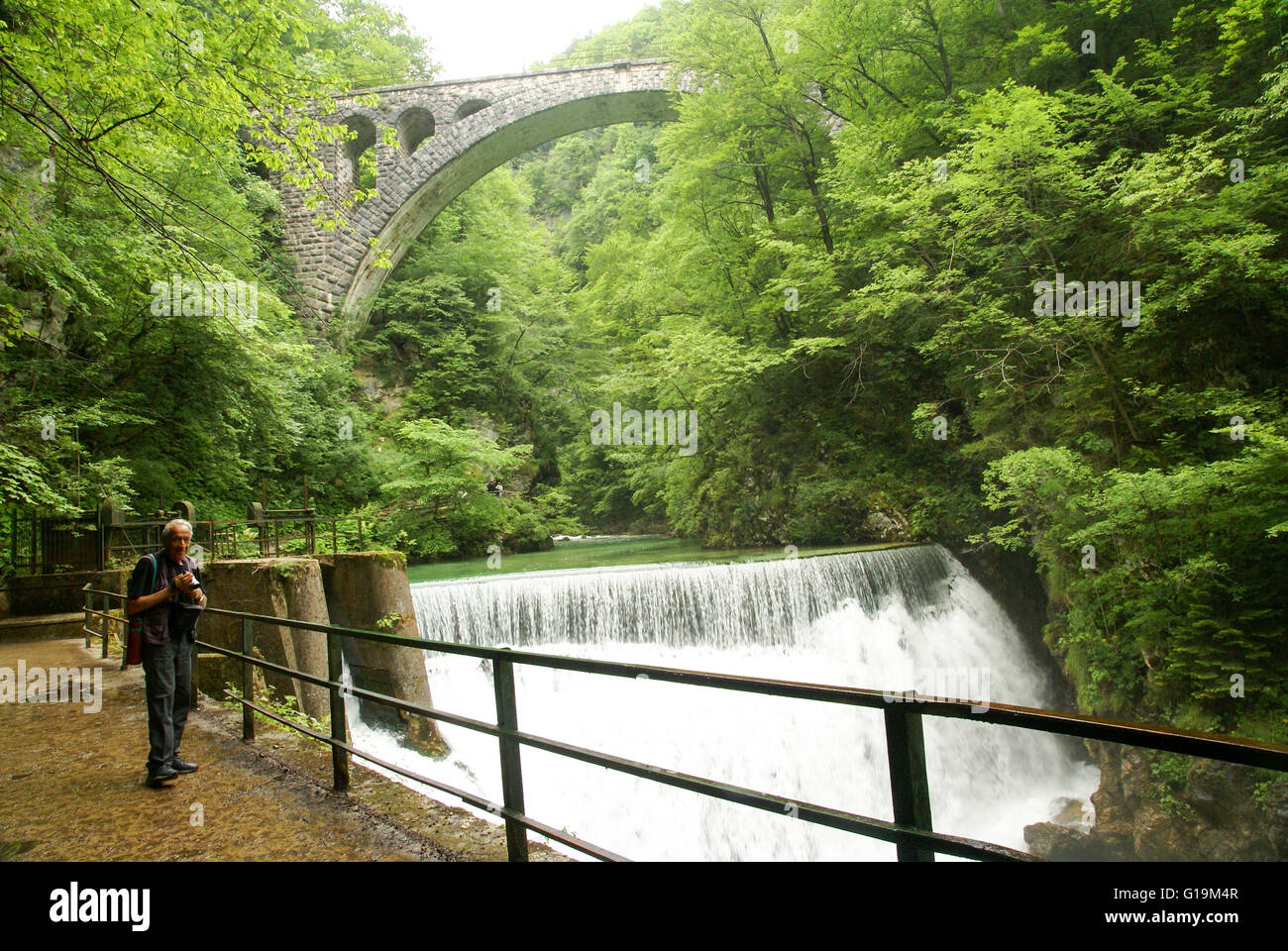 Vintgar Gorge, or Bled Gorge is a 1.6-kilometer gorge in northwestern ...