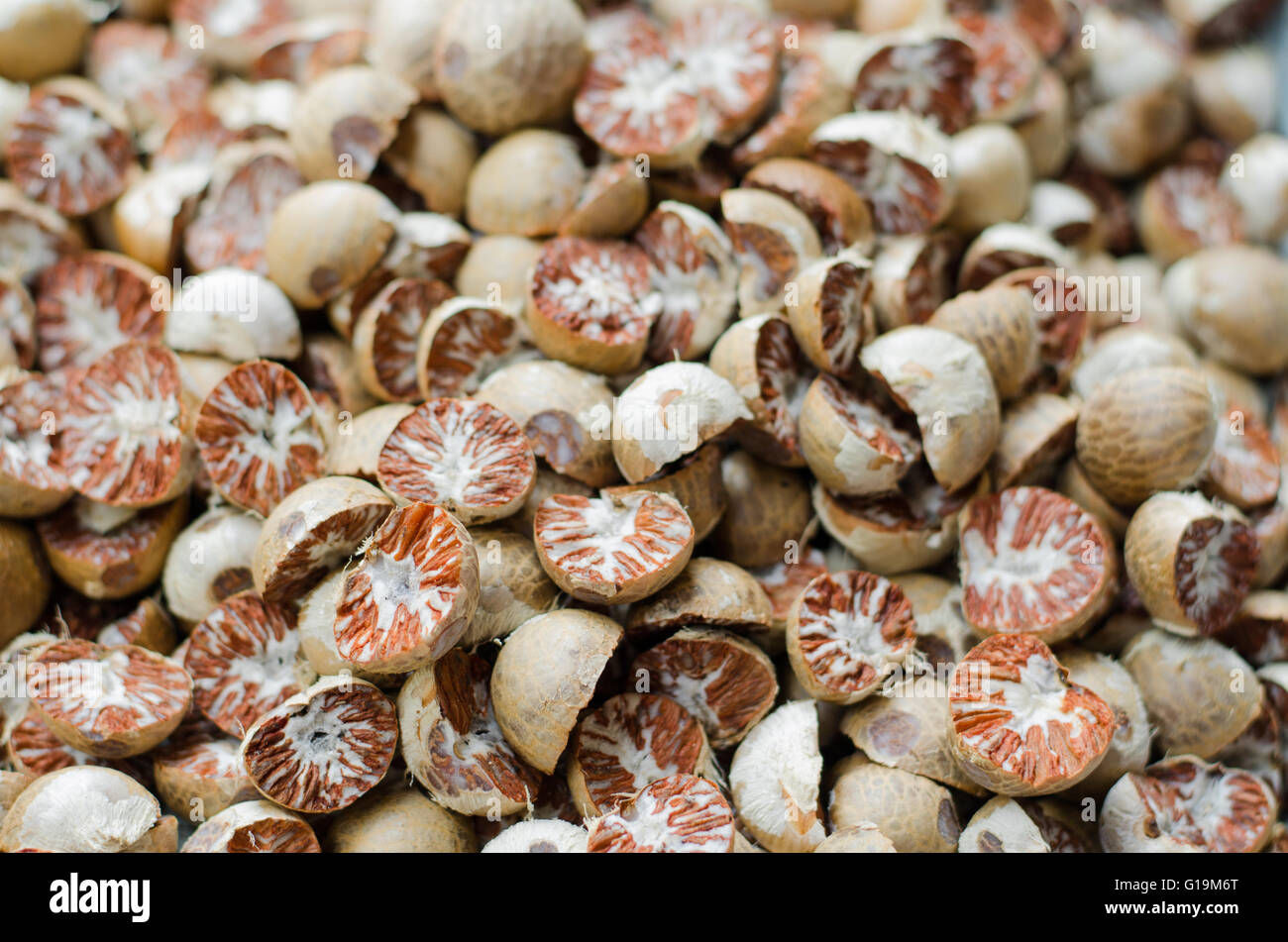 Dried Betel nut, Areca catechu, Areca Nut background, selective focus ...