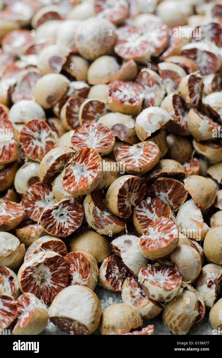Dried Betel nut, Areca catechu, Areca Nut background, selective focus ...